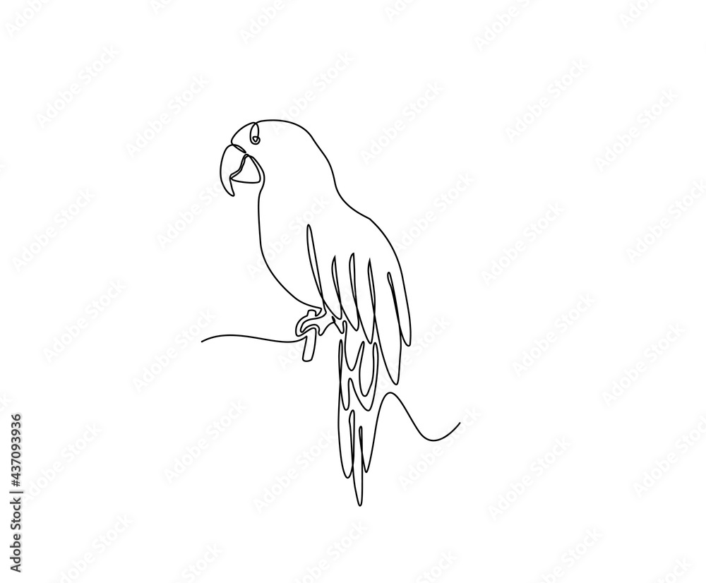 parrot continuous line art drawing style. Minimalist black cockatoo ...
