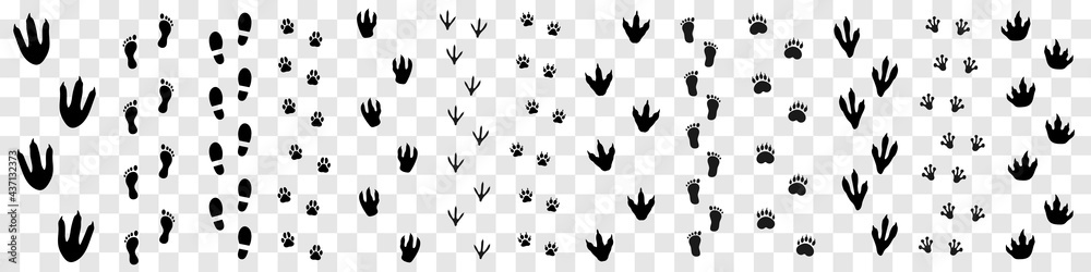 Big collection of animal, human, dinosaur, monster footprints ...
