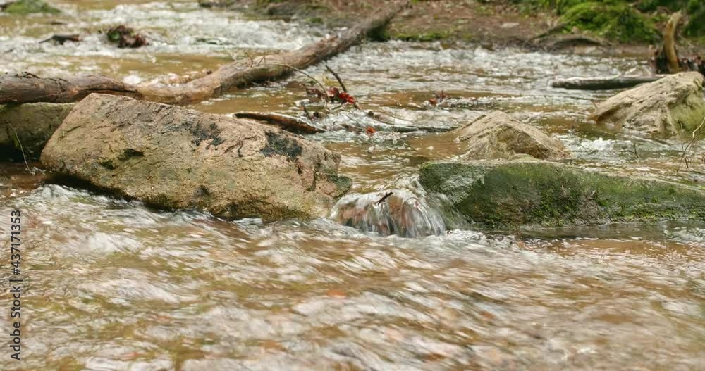 Wild Mountain River Close Up Abundant Clear Stream. Detail Static Shot ...