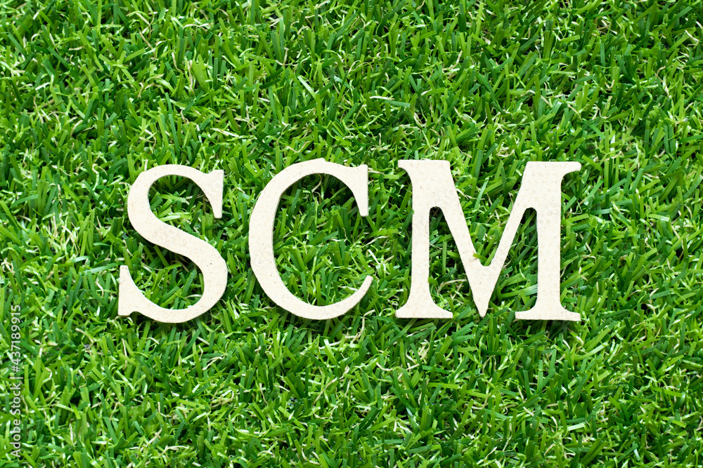 Alphabet letter in word SCM (Abbreviation of Supply chain management ...