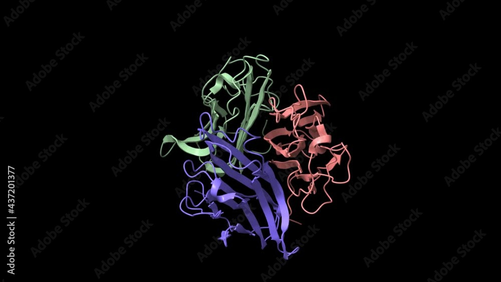 Structure of tumor necrosis factor alpha (TNF1) homotrimer. Animated 3D ...