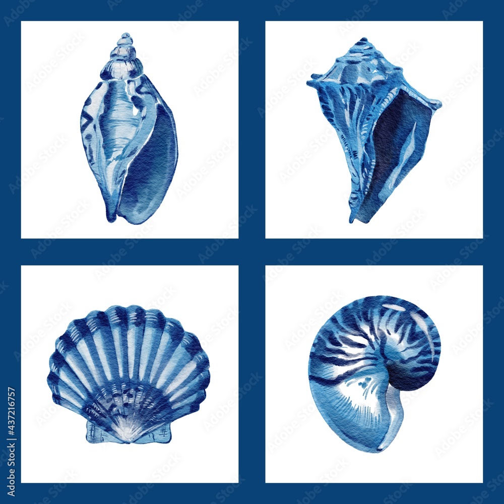 Decorative poster of blue seashells. Sea shells watercolor hand drawn ...