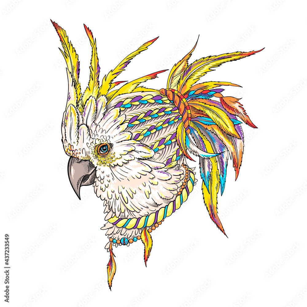 Beautiful kakadu parrot head in boho style illustration. Illustration ...