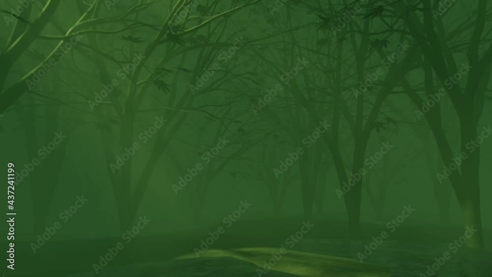 Video Stock The rays of the sun during sunrise in a mysterious green ...