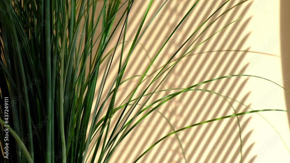 minimalistic screensaver. Morning sun lighting the room, shadow ...