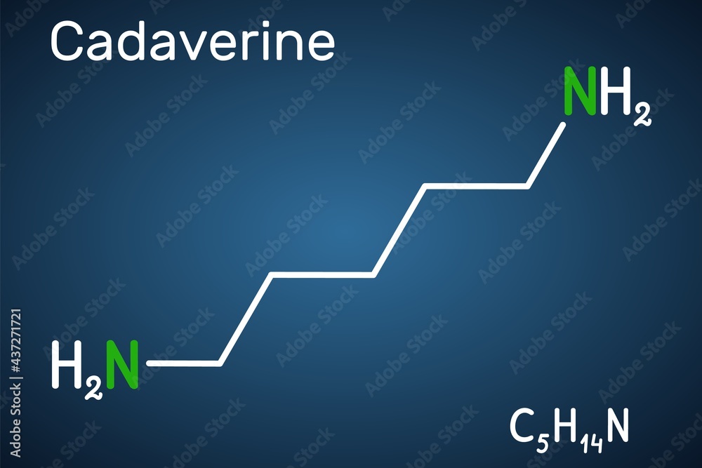Vetor de Cadaverine, pentamethylenediamine molecule. It is foul ...