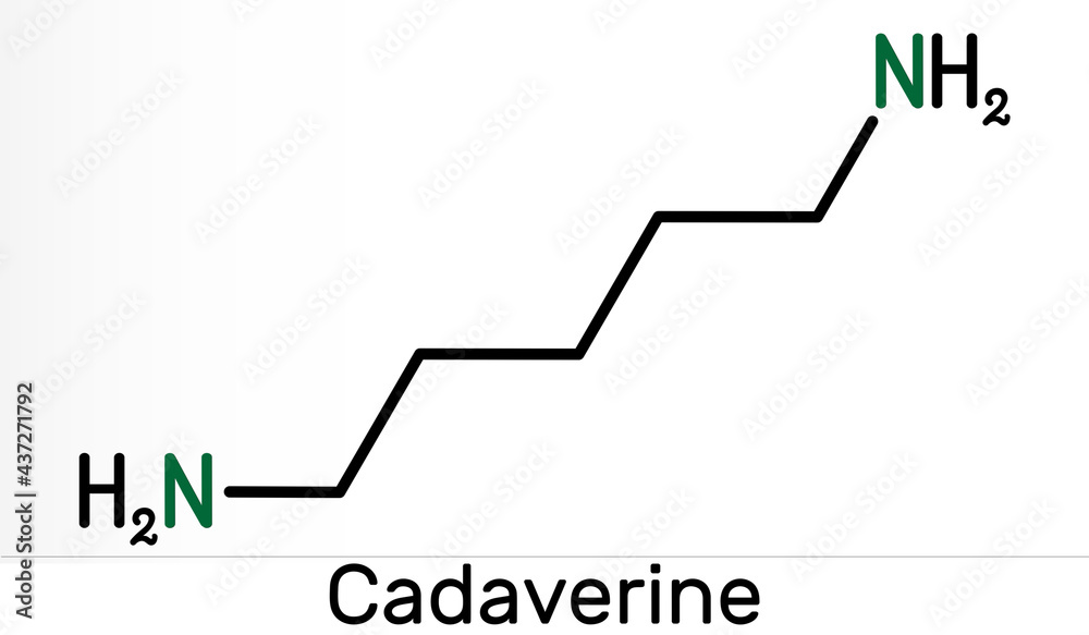 Cadaverine, pentamethylenediamine molecule. It is foul-smelling diamine ...