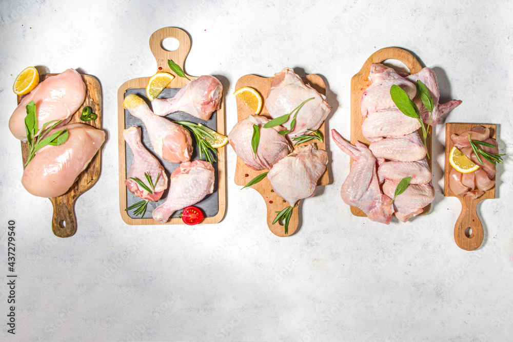 Various raw chicken meat portions. Set of uncooked chicken fillet ...