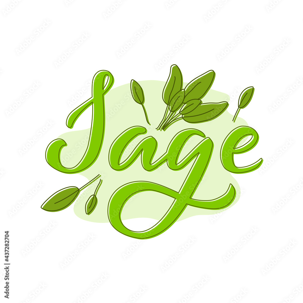 Vector illustration of sage lettering for packages, product design ...