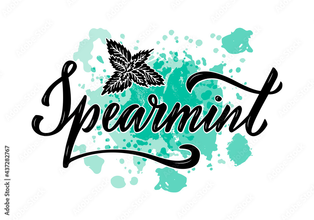 Vector illustration of spearmint lettering for packages, product design ...