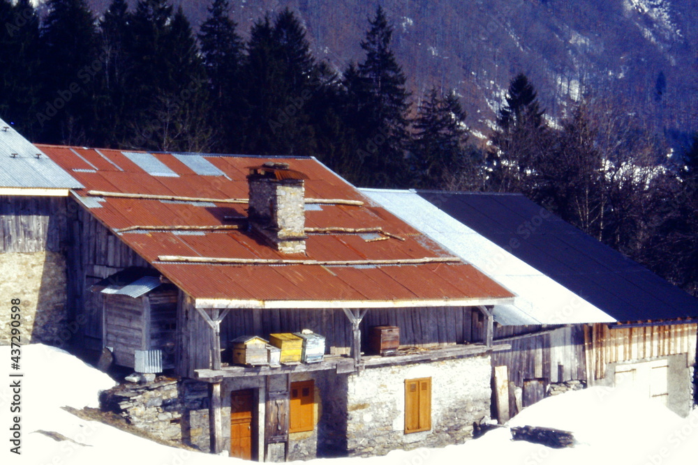 Chalet de montagne ferme ruches apiculture sapin forêt paysage ...