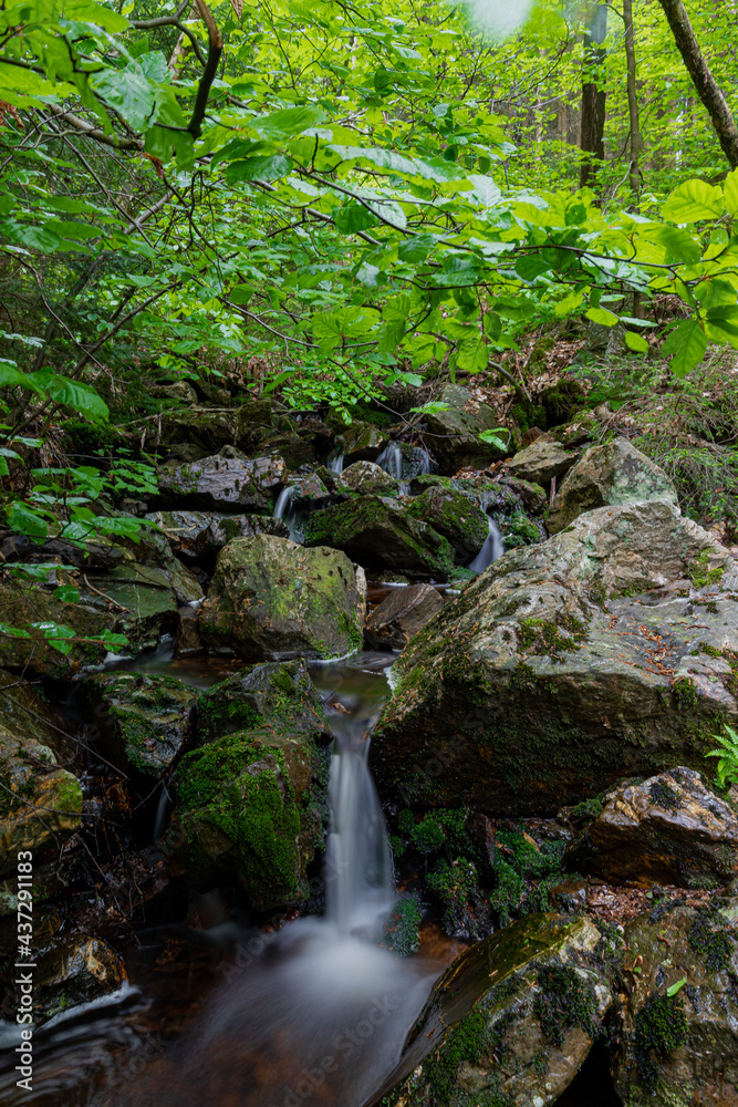 Statte river in the Belgium Ardennes is a small river full of cascades ...