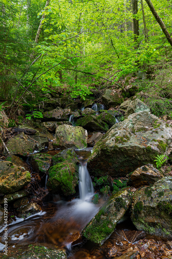 Statte river in the Belgium Ardennes is a small river full of cascades ...