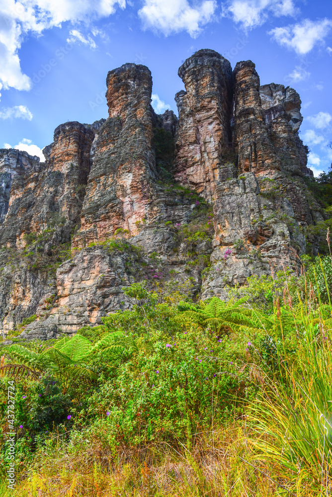 Foto de Rock pillars and cerrado vegetation on the entrance to the ...