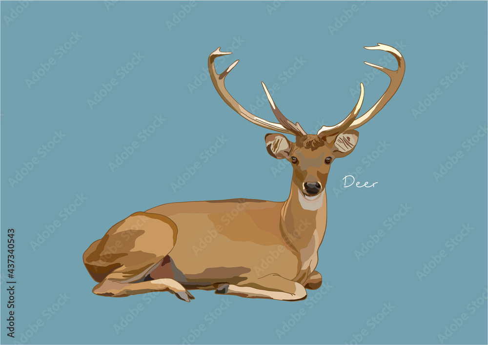 Vector Illustration of Deer, True Deer, Red Deer, Fallow Deer Stock ...