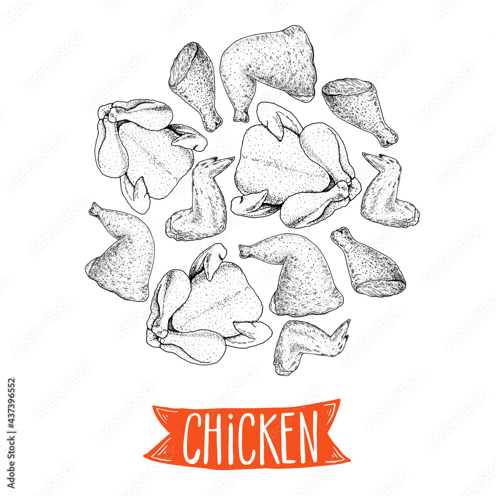 Grilled and Fried chicken. Hand drawn sketch illustration. Grilled ...