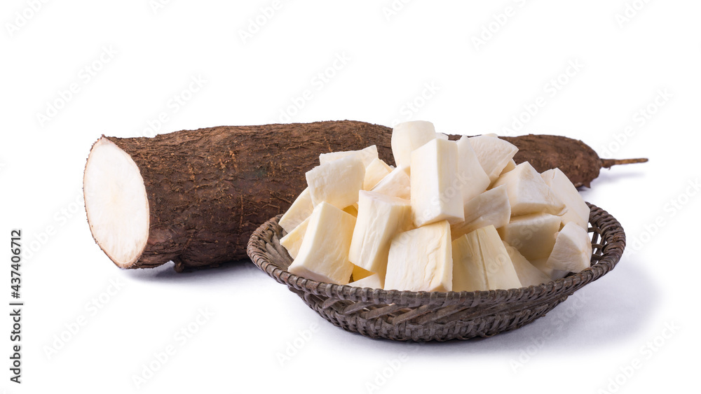 cassava or manihot, also known as manioc, yuca or brazillian arrowroot ...