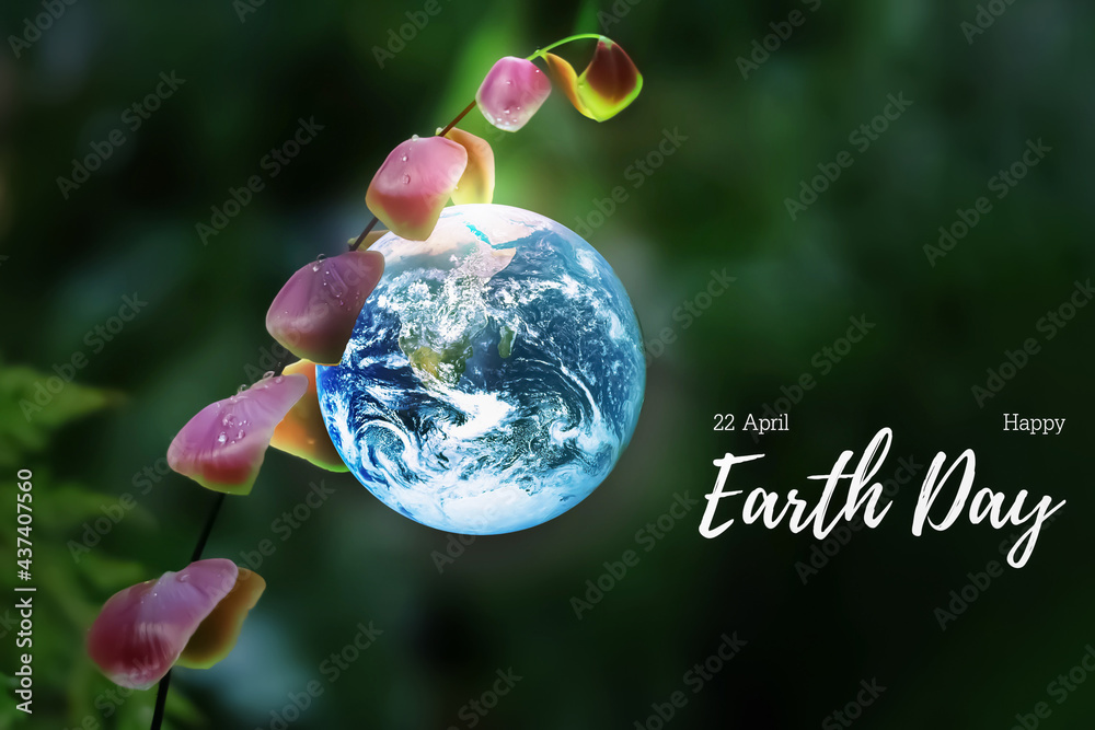 Planet earth catched by new growth fern on outdoor summer forest with ...