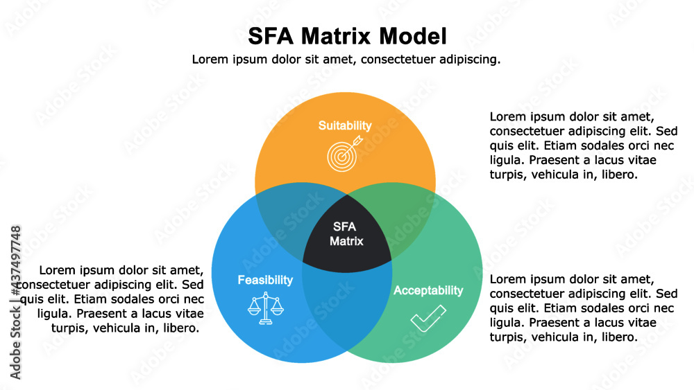 SFA Matrix framework helps business to evaluate their strategic option and pick the best option ...