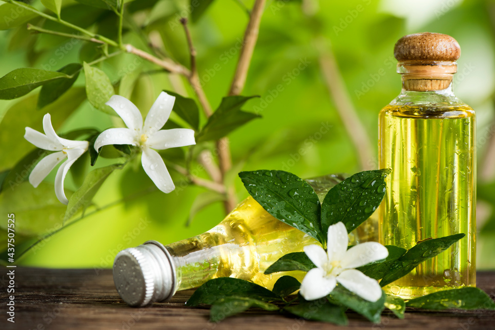 Andaman satinwood or murraya paniculata flowers and essential oil on ...