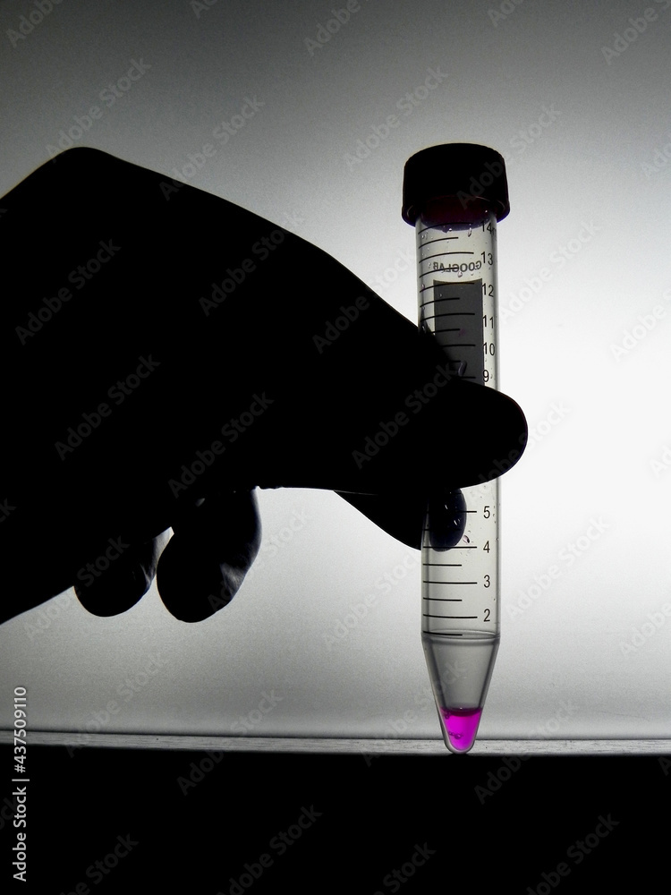 Cell growth medium with phenol red pH indicator Stock Photo | Adobe Stock