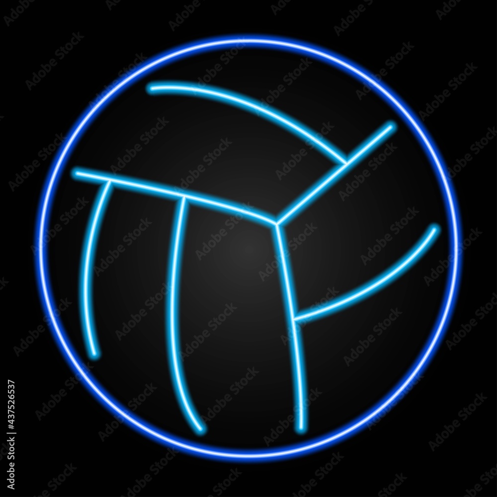 Neon Volleyball Ball