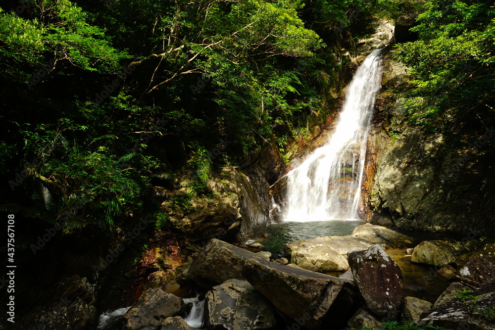 Hiji waterfall, Hijiotaki, Okinawan national park - 比地大滝 沖縄 Stock Photo | Adobe Stock