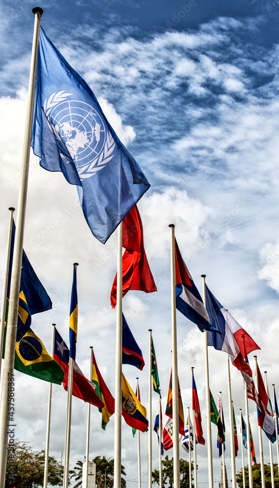 flags of the Caribbean Community and Common Market (CARICOM ...