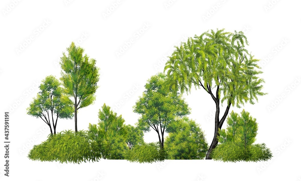 Collection of abstract watercolor tree side view isolated on white ...