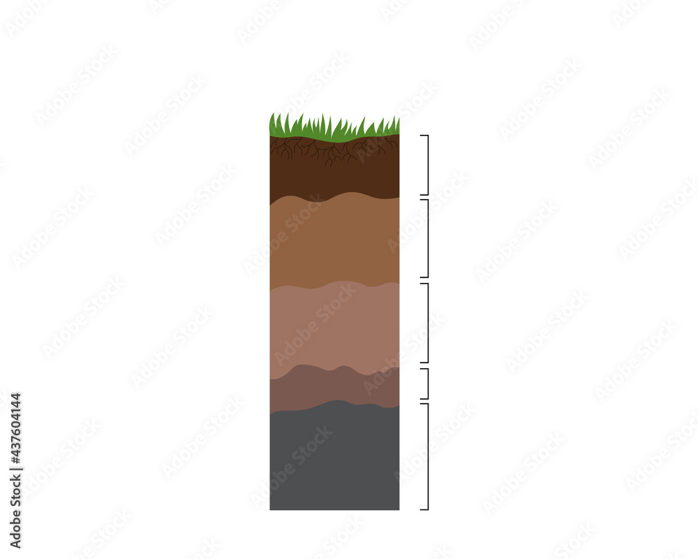 Soil horizons or layers, unlabeled vector drawing Stock Vector | Adobe ...