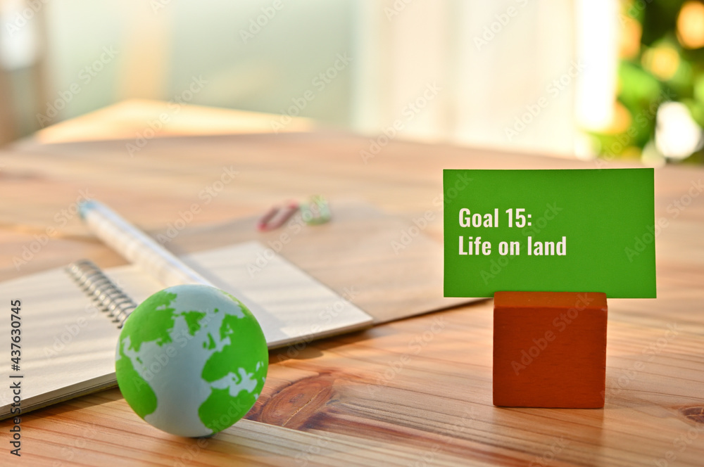 There is card with the statement Goal 15:Life on land on it one of the ...