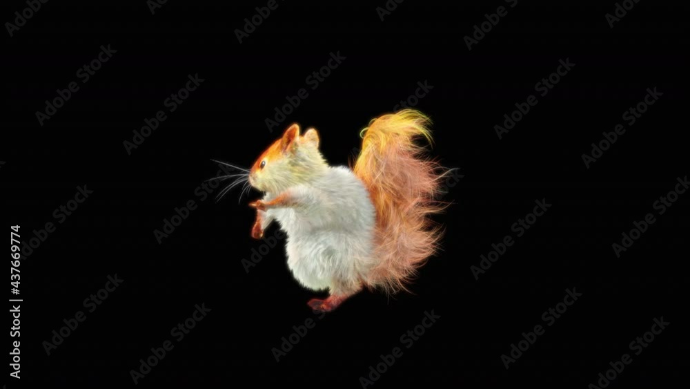 White squirrel Dance CG fur. 3d rendering, animal realistic CGI VFX ...