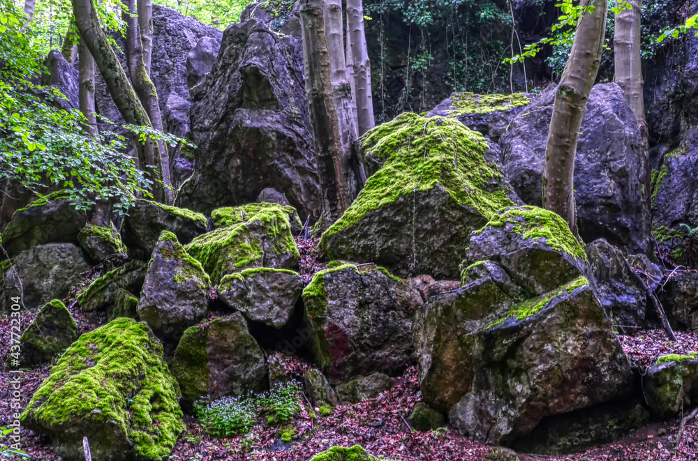 Felsen mit Moos im Wald im Felsenmeer in Hemer Stock Photo | Adobe Stock