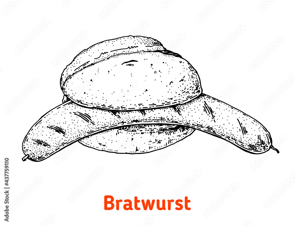 German bratwurst hand drawn vector illustration. Vintage design element ...