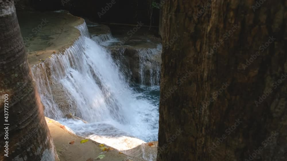 Vidéo Stock Channel between tree show waterfall layer and waterflow in ...