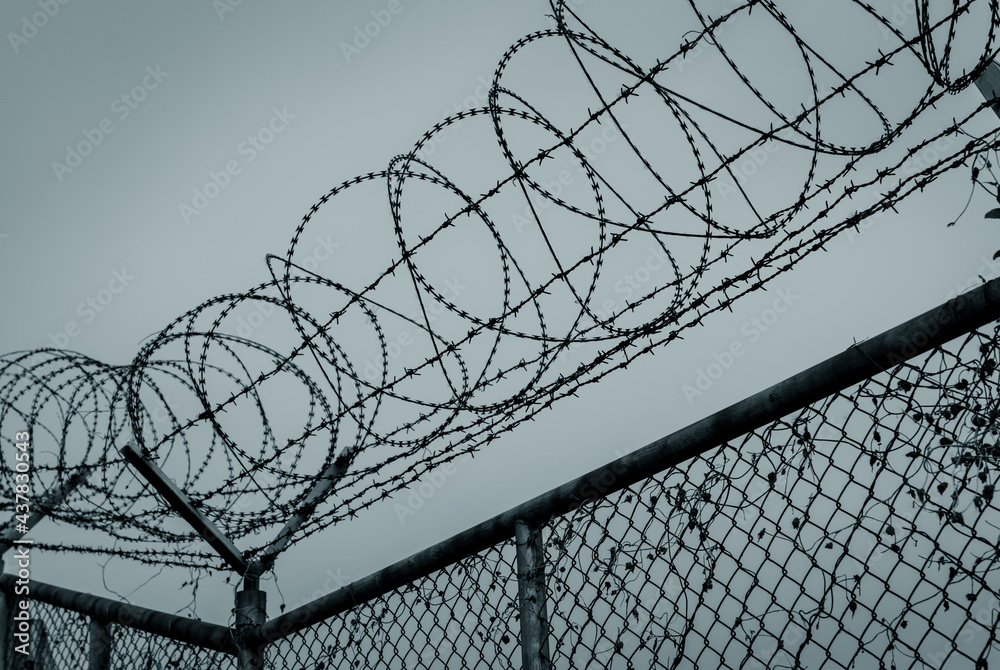 Prison security fence. Barbed wire security fence. Razor wire jail ...
