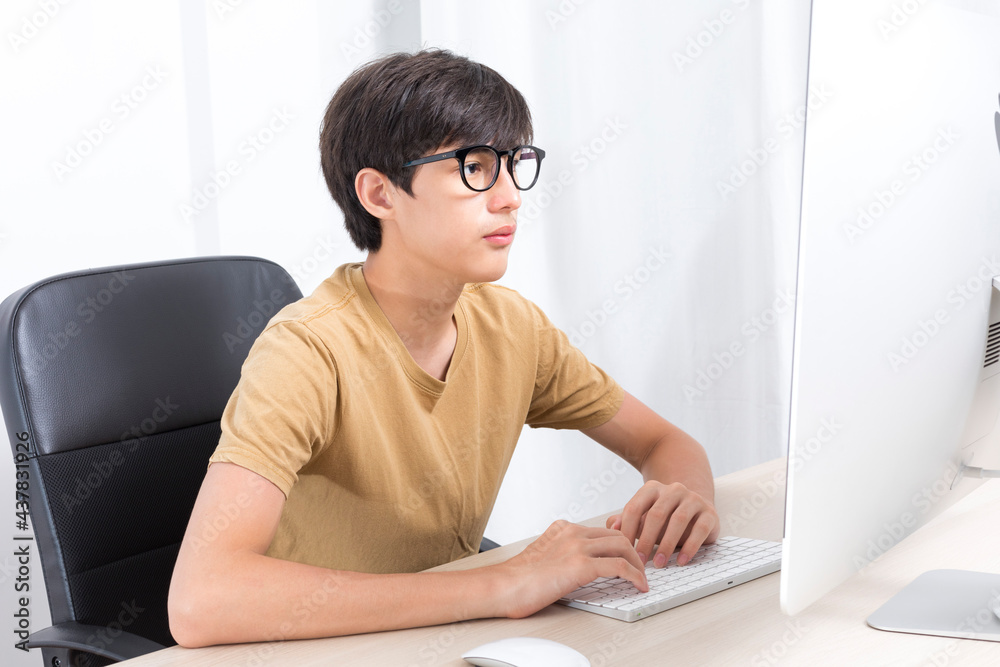 Serious teenage boy sitting on the chair while using computer at home ...