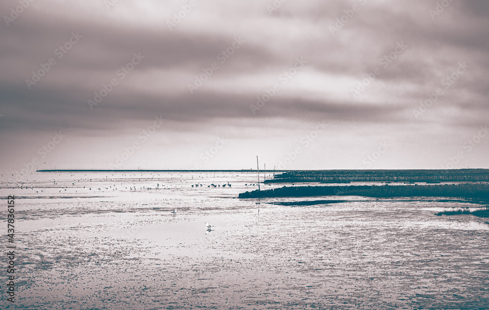 Strand von Cuxhaven an der deutschen Nordseeküste mit Panorama Poster ...