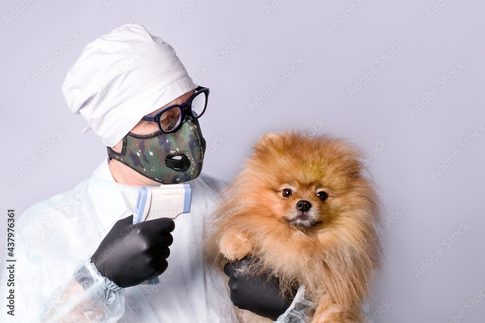 A doctor wearing medical respirator measuring body temperature of a ...