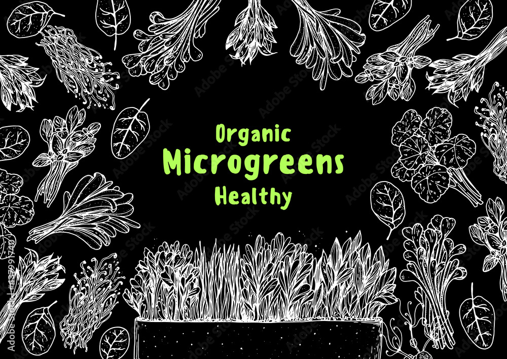 Microgreens hand drawn vector illustration. Organic healthy food ...