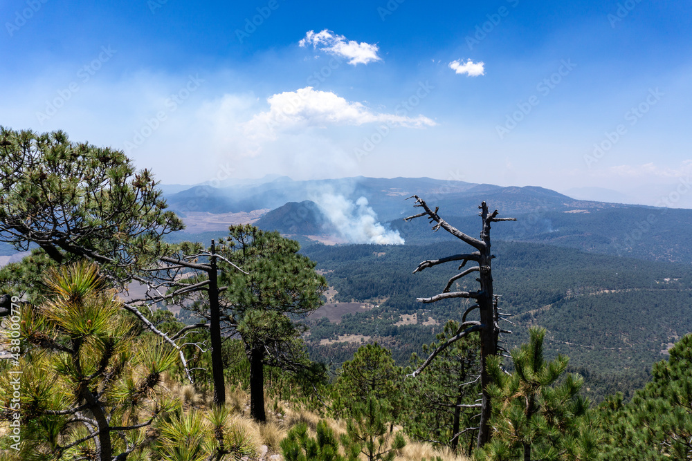 forest fire / incendio forestal, Parque Nacional Cumbres del Ajusco ...