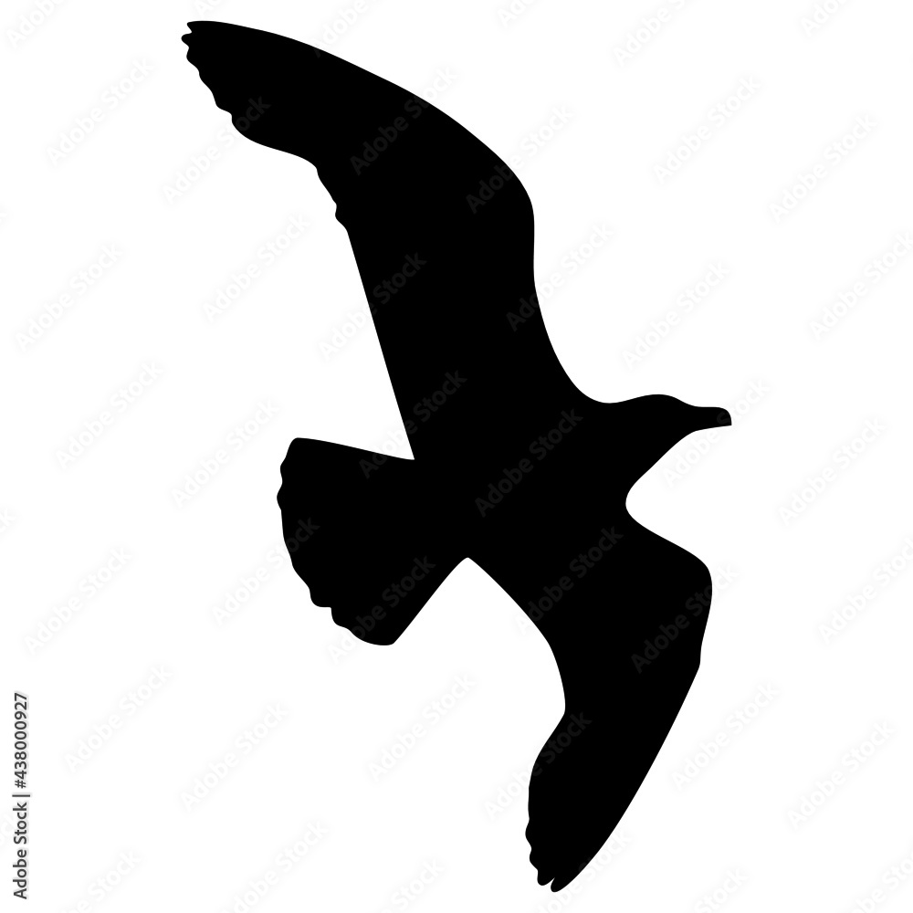 Black silhouette of flying bird. Stock Vector | Adobe Stock