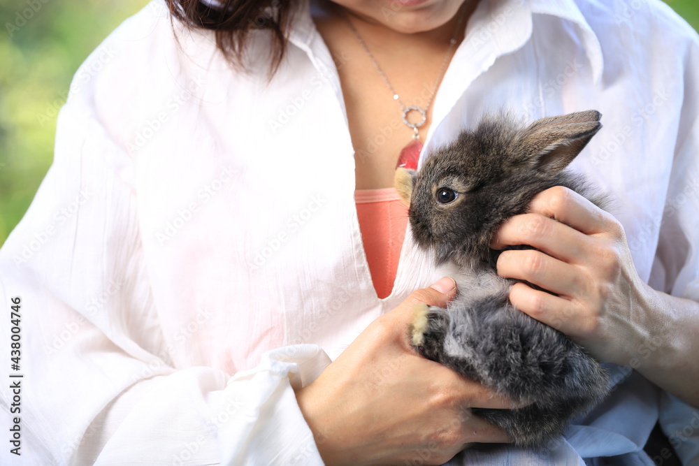 Adorable young rabbit and woman sit together outdoor. Owner care little ...