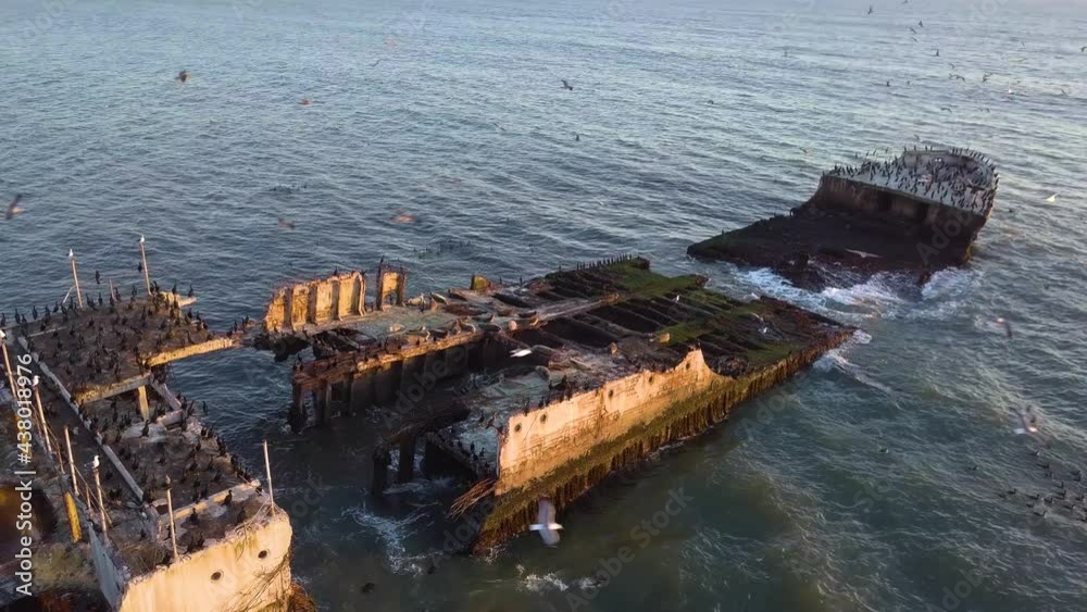 Sunken Ship off the Coast with Birds and Wildlife. Drone video of ...