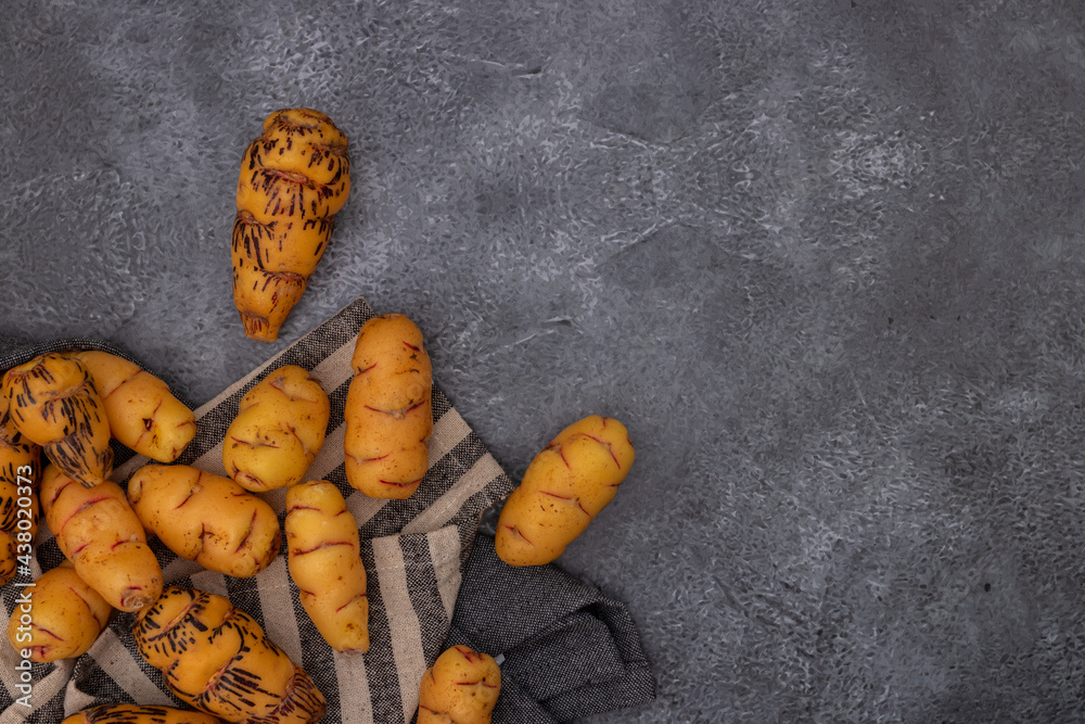 Oca, tuber used in Peruvian cuisine Stock Photo | Adobe Stock