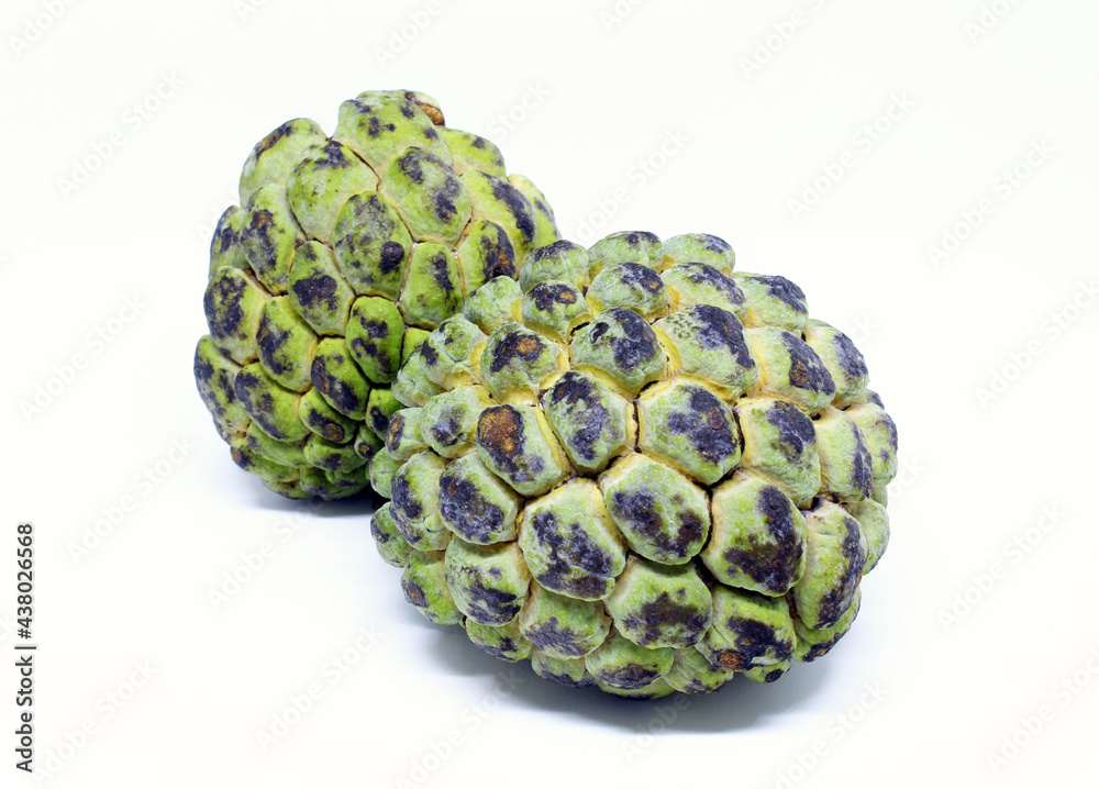 Annona squamosa fruit also known as "Pinha" or "Fruta do Conde" in ...