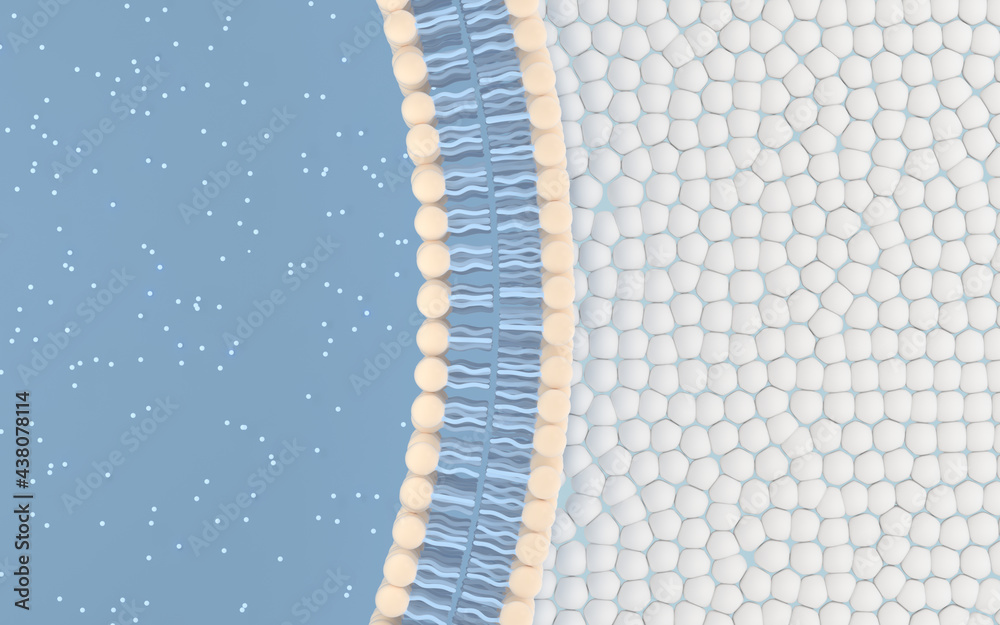 Cell membrane with blue background, 3d rendering. Stock Illustration ...