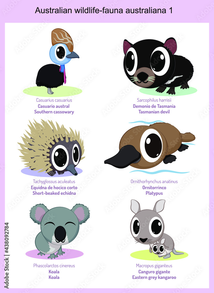 Australian wildlife cartoons, cute wild animals in vector with ...