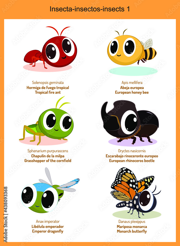 Wild world insects cartoons, cute wild animals in vector with ...