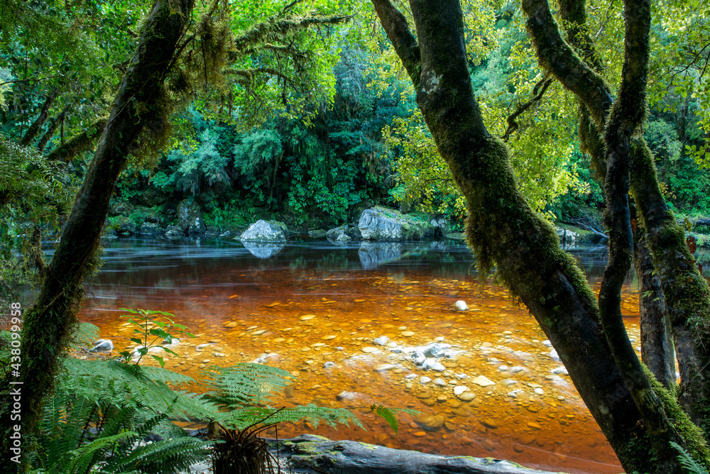 Foto de Oparara River, Kahurangi National Park, New Zealand do Stock ...